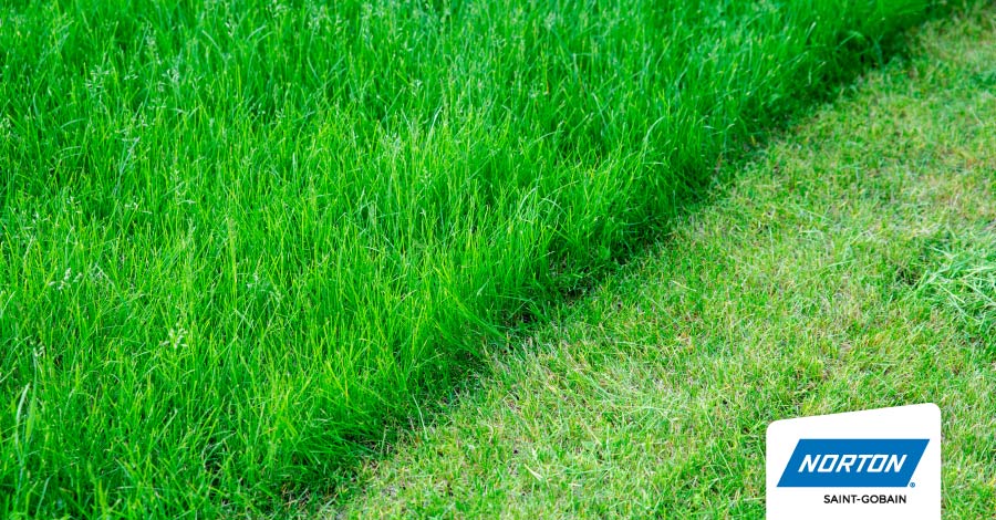 7 consejos para cortar el césped de forma correcta